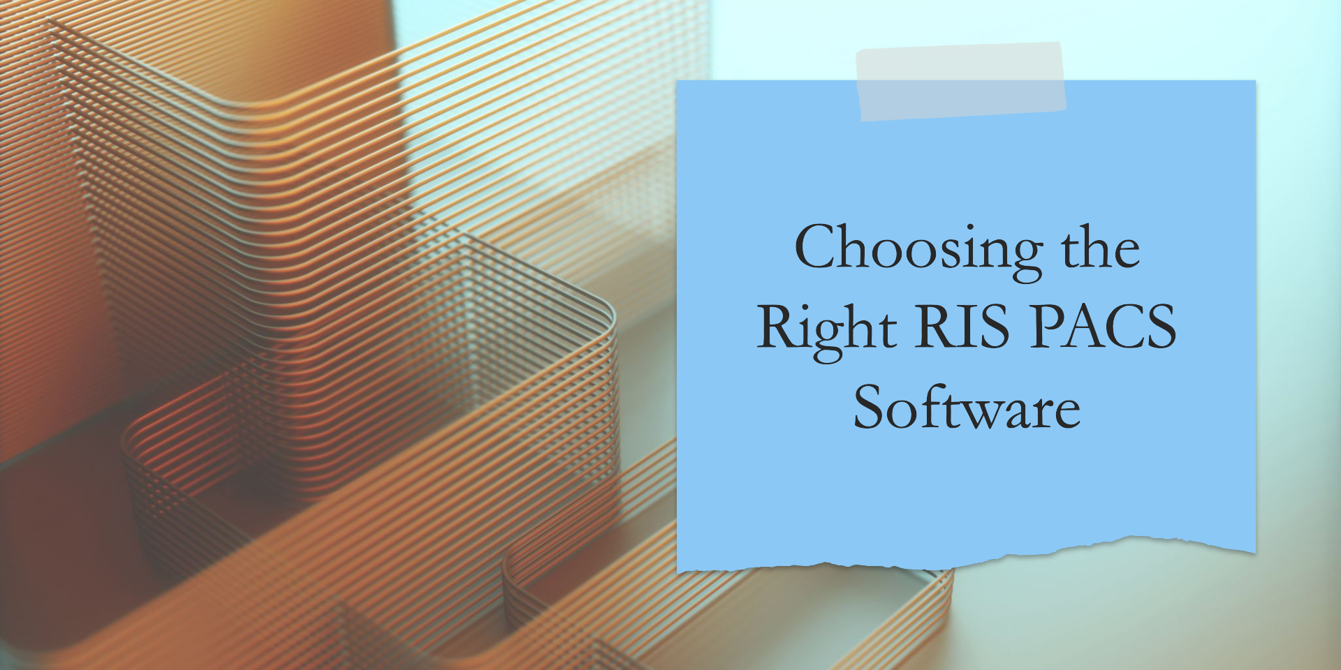 Best RIS PACS Software